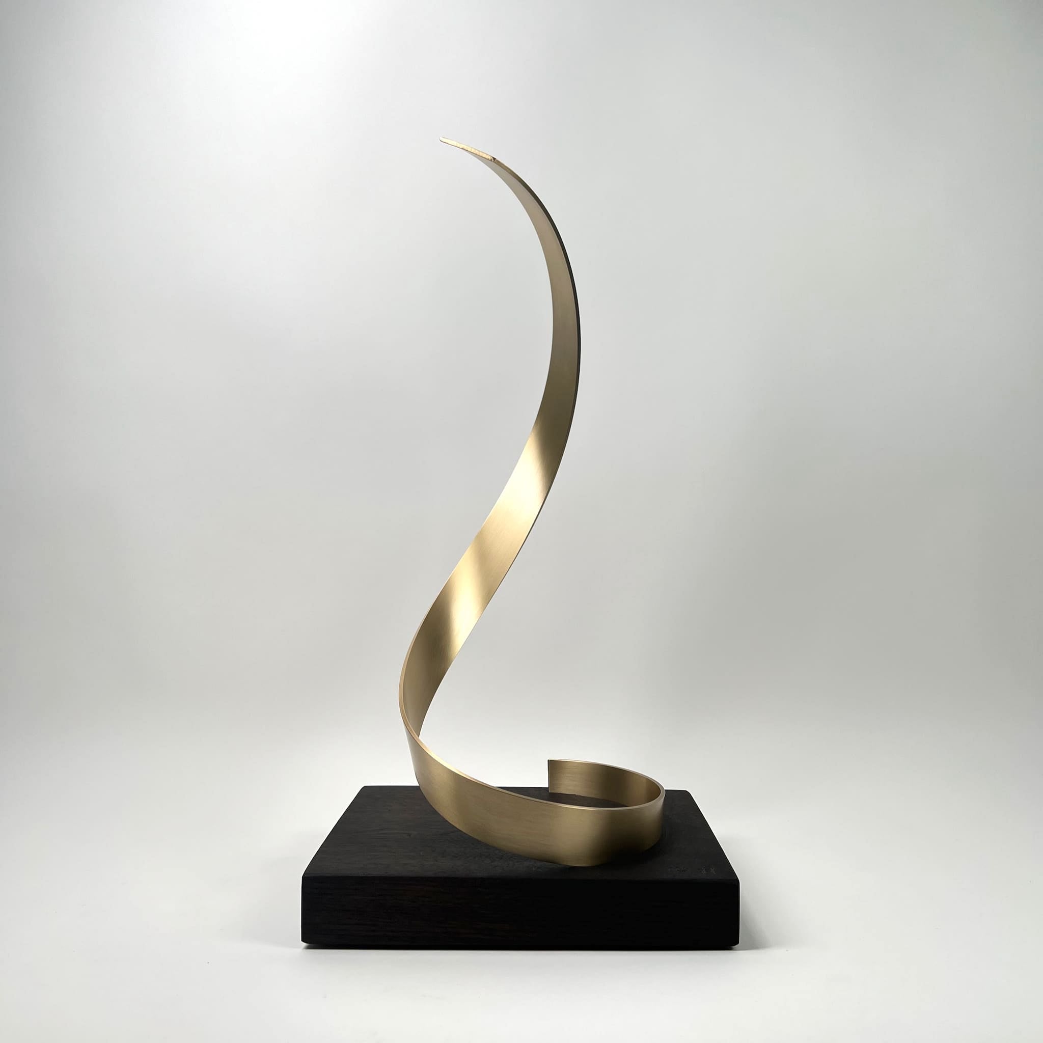 Cobra Series | Gordon Johnson Art | Metal Art and Sculpture